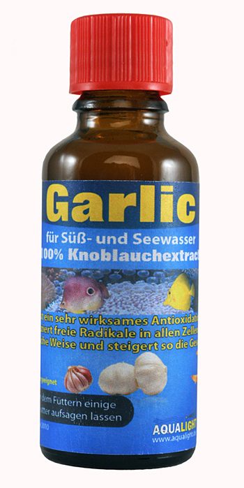 Garlic Knoblach | Aqua Light Aquariumtechnik