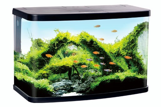Aquarium - abgerundet - mit LED Abdeckung und Eck-Filter | Aqua Light ...
